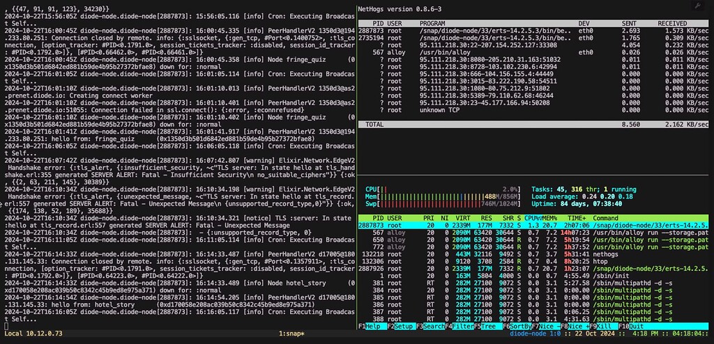 # Creating an Easy-to-Use Lite Node Interface on Linux CLI (Ubuntu 24. ...